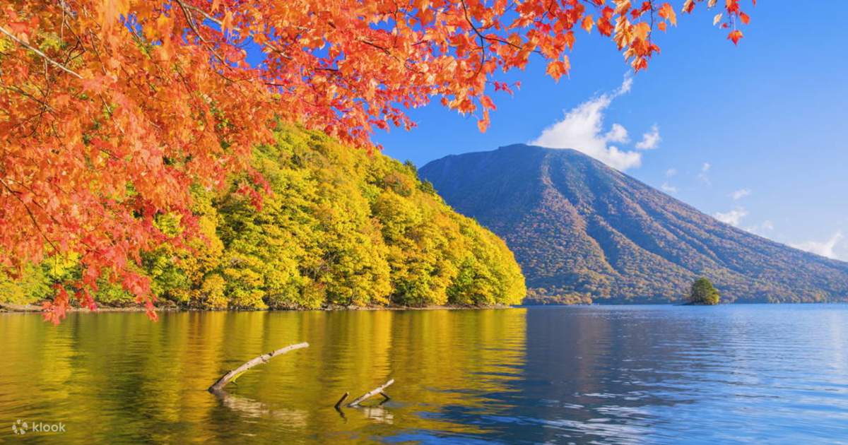 Tour riêng Nikko từ Tokyo: Tài xế nói tiếng Anh, không có hướng dẫn viên - Klook Việt Nam